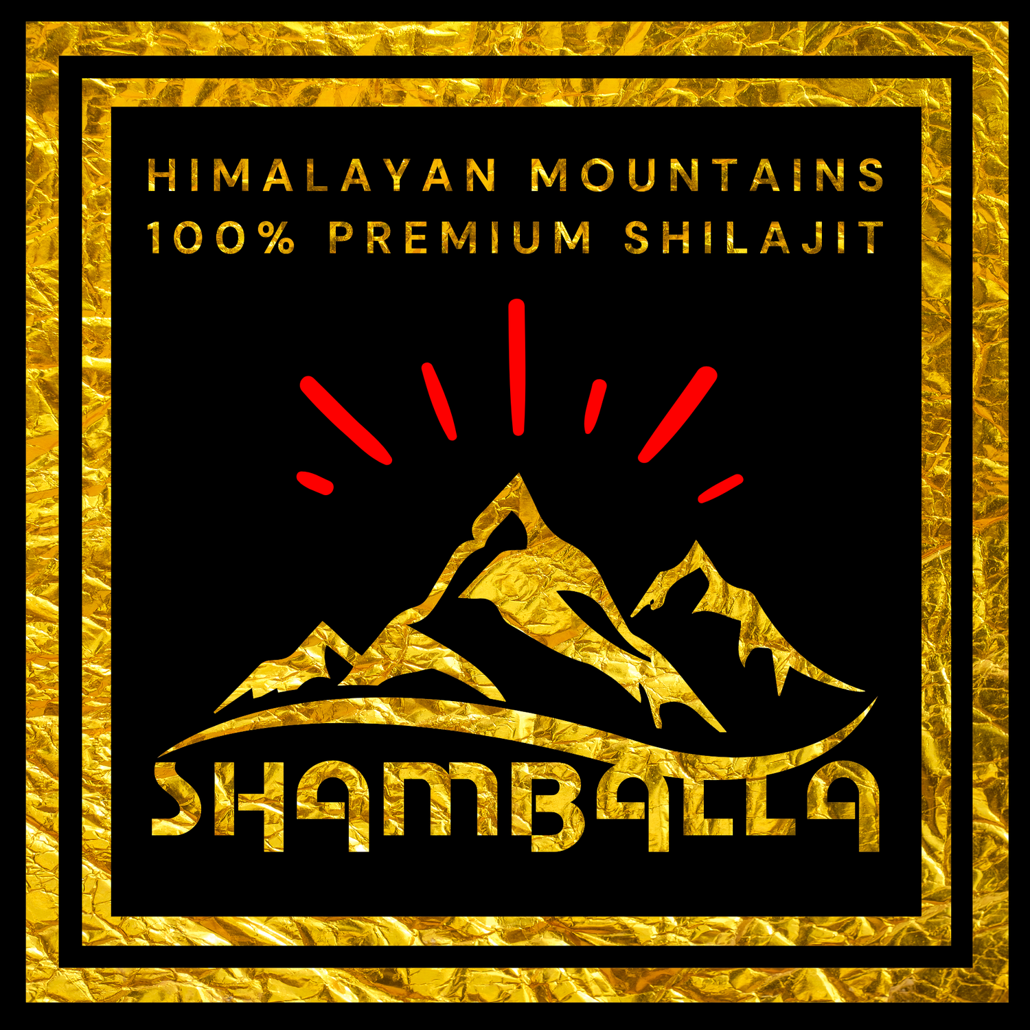 Shamballa - Pur Shilajit des Hautes Montagnes de l'Himalaya – Shamballa ...